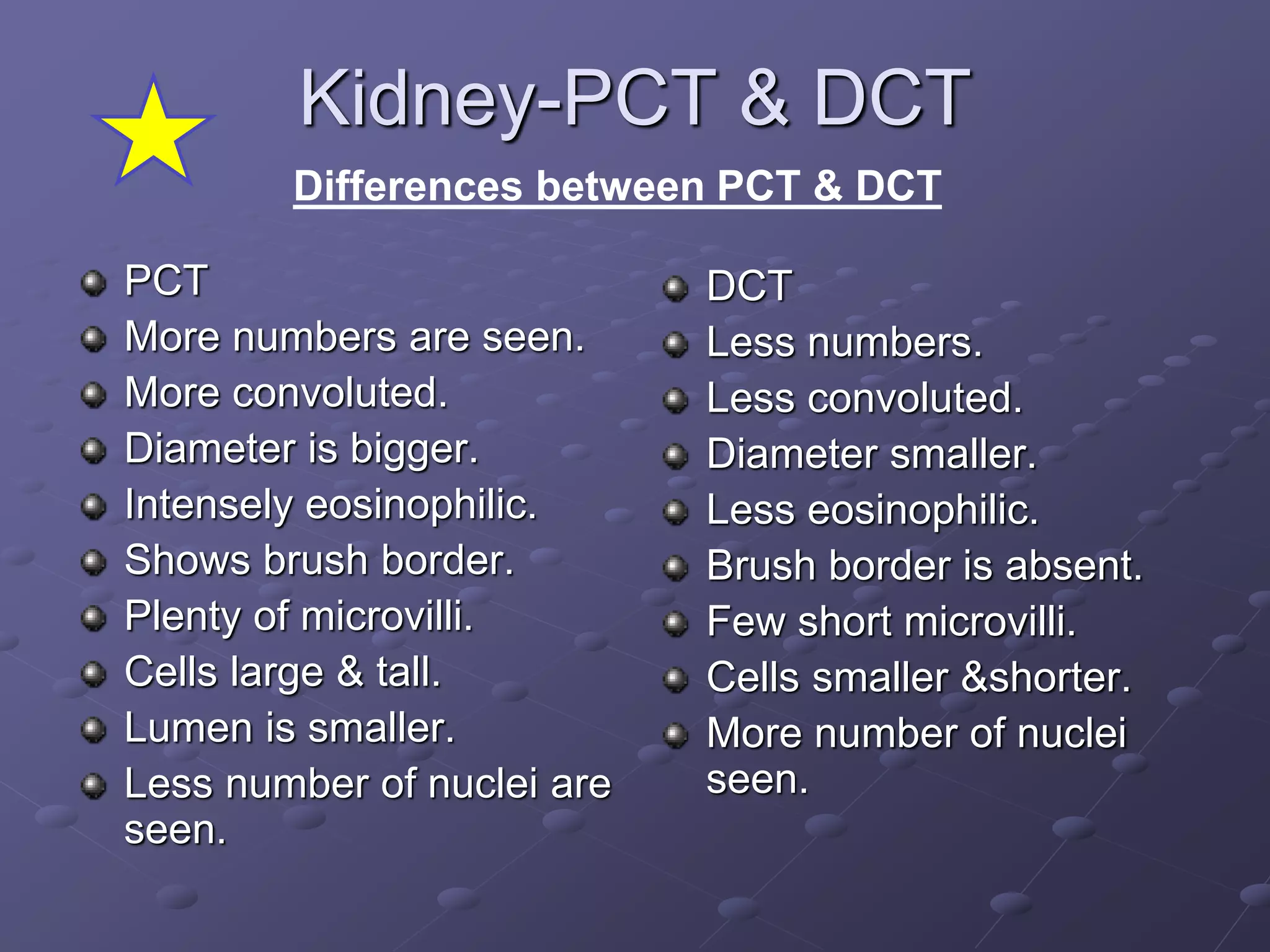 Histology of whole urinary tract | PPT