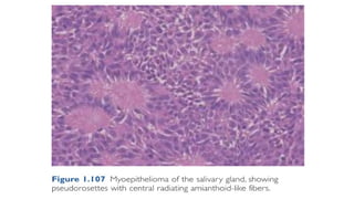 Histology pattern.pptx..pattern analysis | PPTX