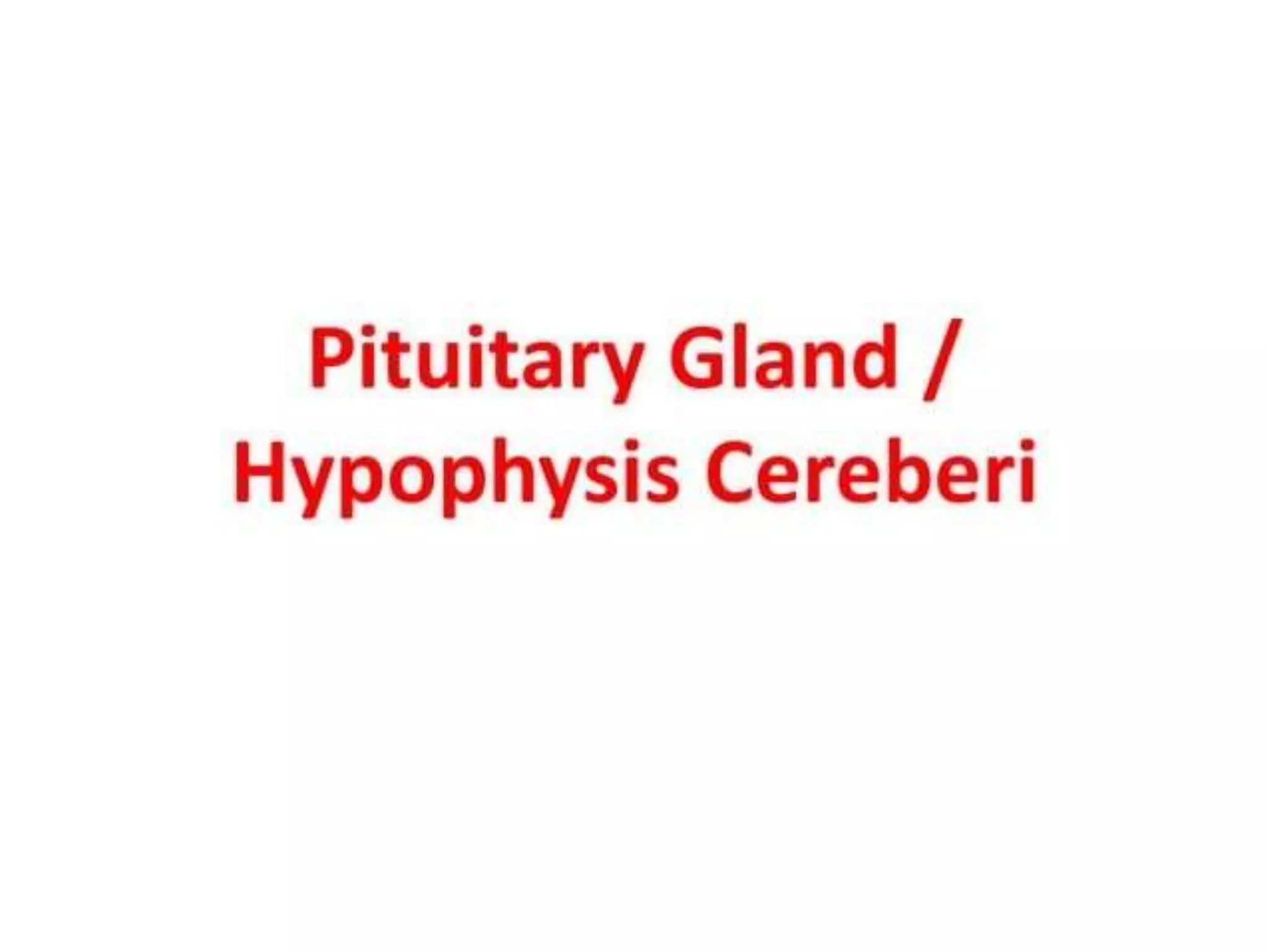 histology pitutary gland.pptx