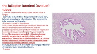 ALL histology SLIDES practical endoCRINOLOGY.pdf