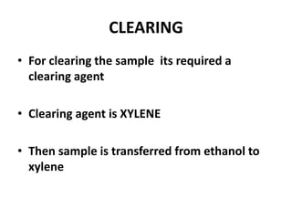 Histology Practicle.pptx study of tissues | PPTX