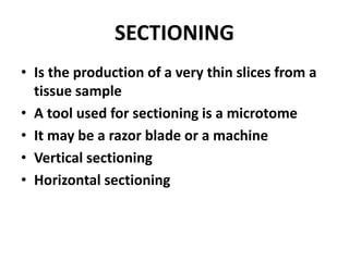 Histology Practicle.pptx study of tissues | PPTX
