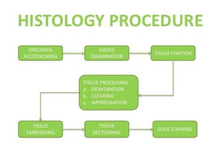 Histology Practicle.pptx study of tissues | PPTX