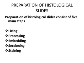 Histology Practicle.pptx study of tissues | PPTX