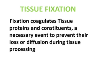 Histology Procedure | PPTX