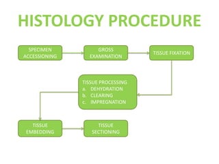 Histology Procedure | PPTX
