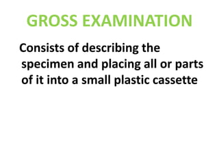 Histology Procedure | PPTX