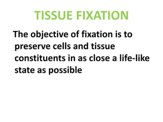 Histology Procedure | PPTX