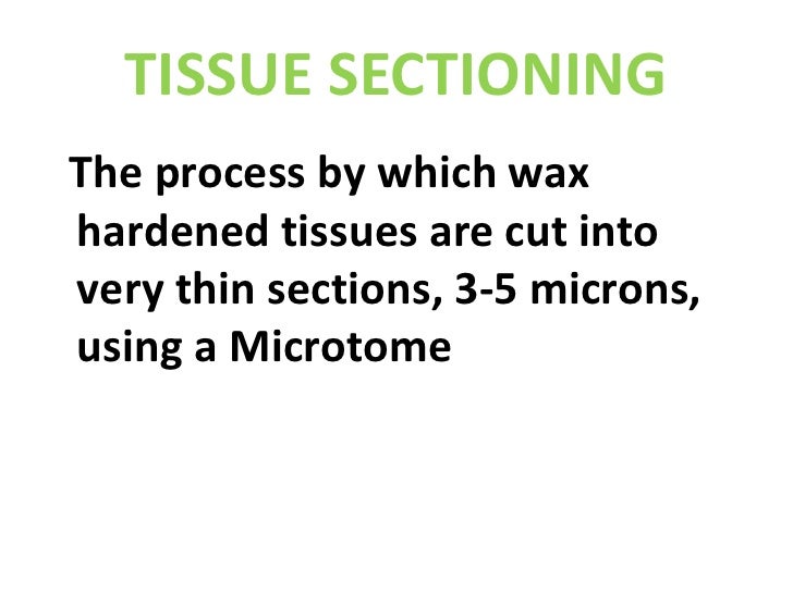 Histology Procedure