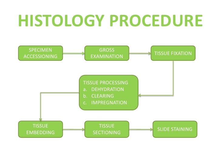 Histology Procedure
