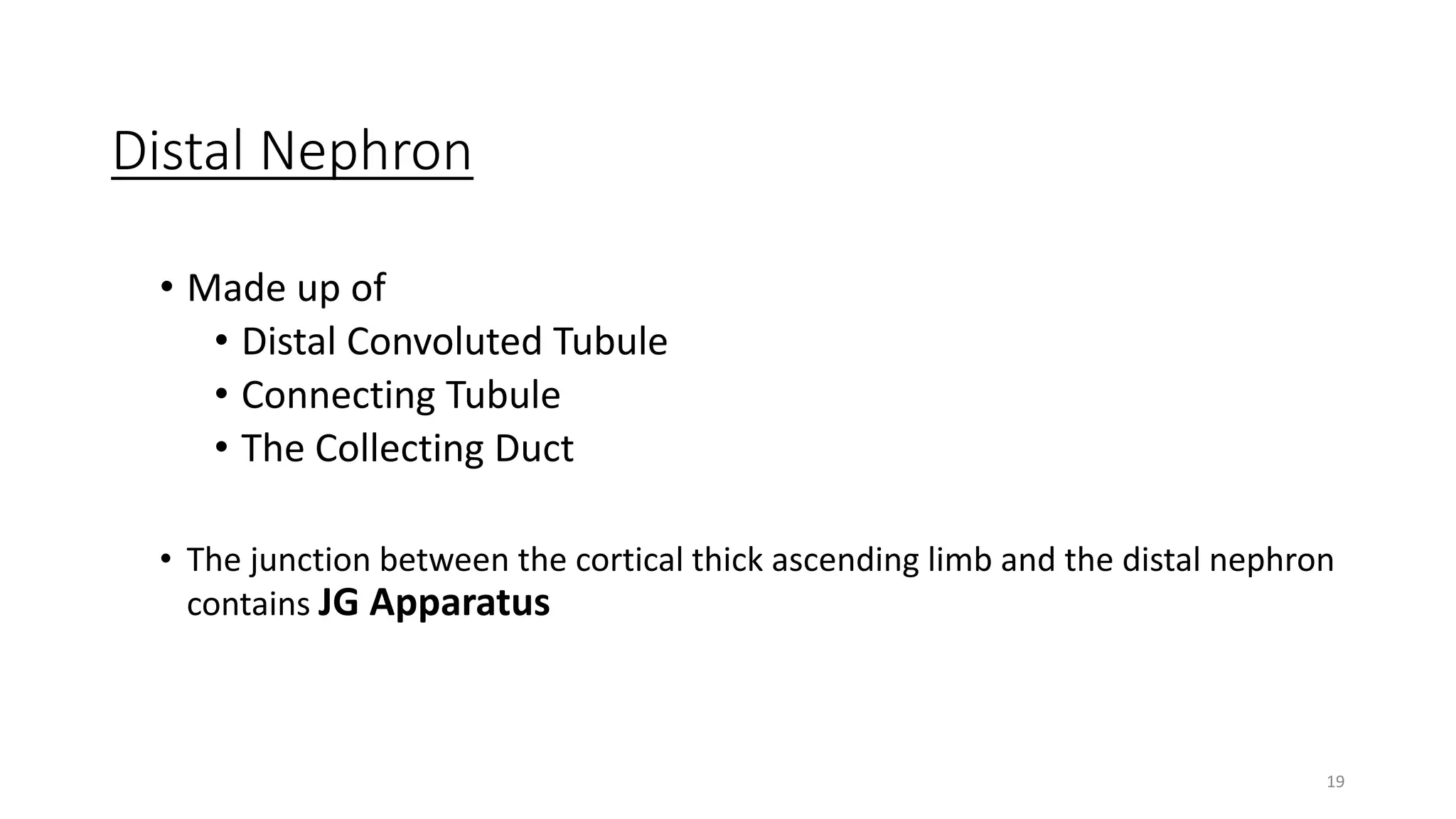 Histology of Renal Tubule and its Variation in relation to Function | PPTX