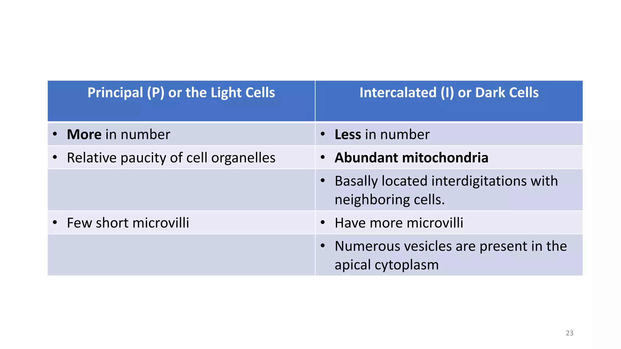 Histology of Renal Tubule and its Variation in relation to Function | PPTX