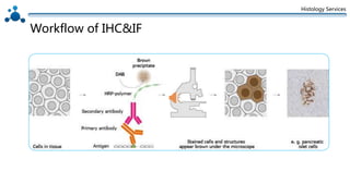 Histology services | PPTX