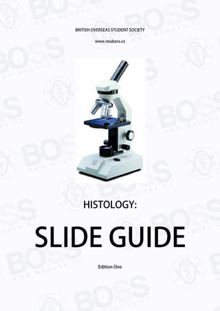 Histology slide guide | PDF