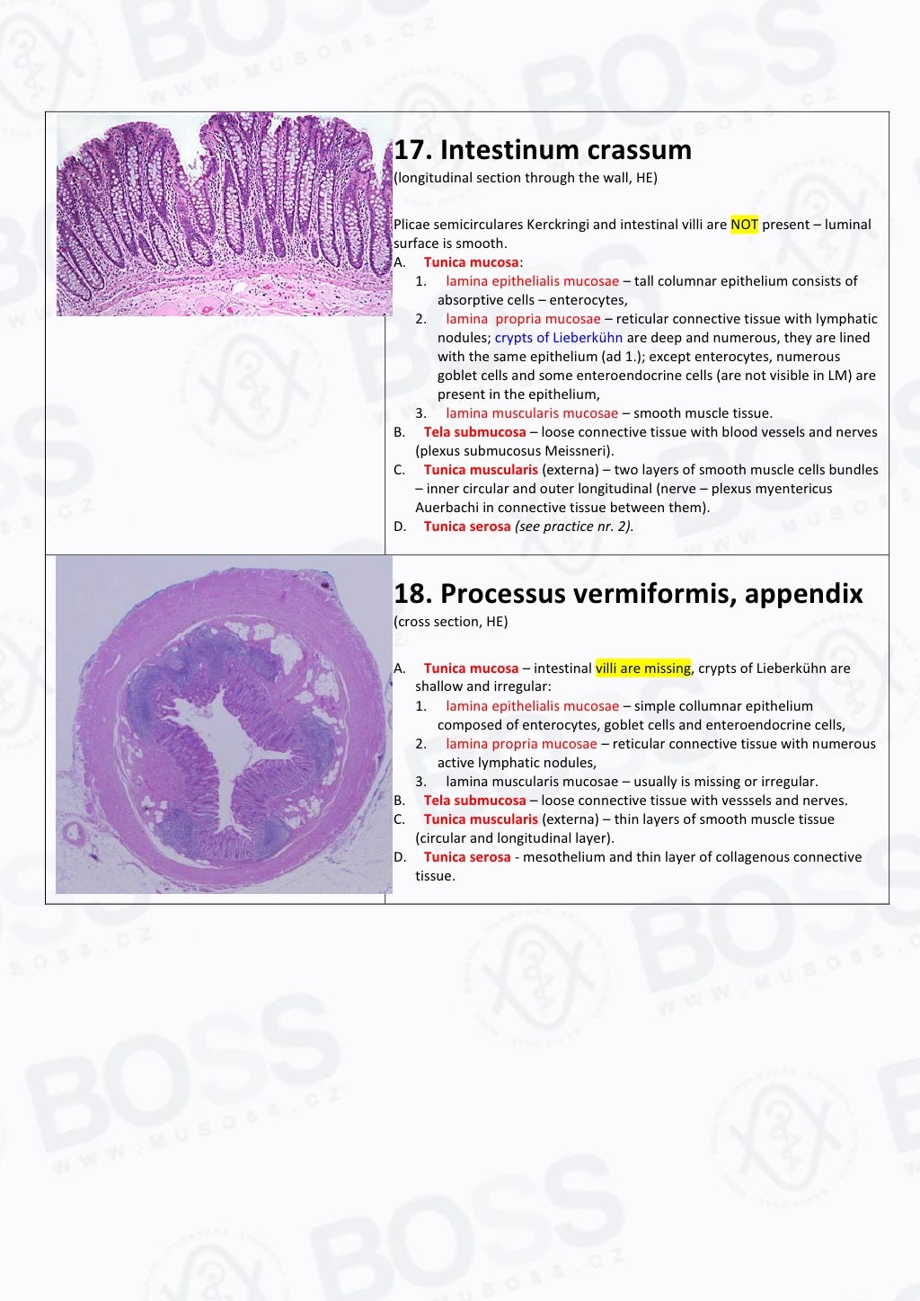 Histology Slide Guide