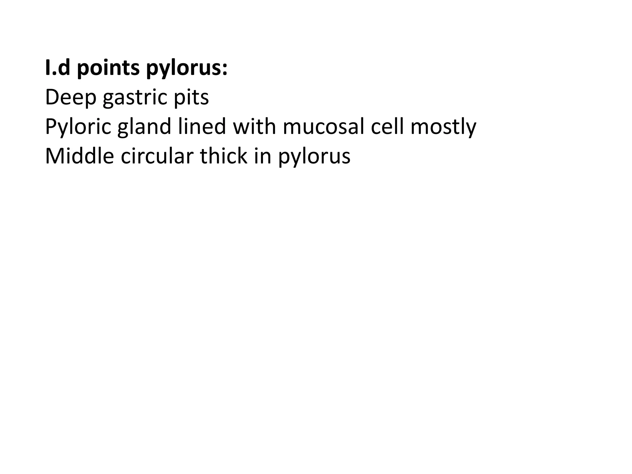 Histology Slidespptx