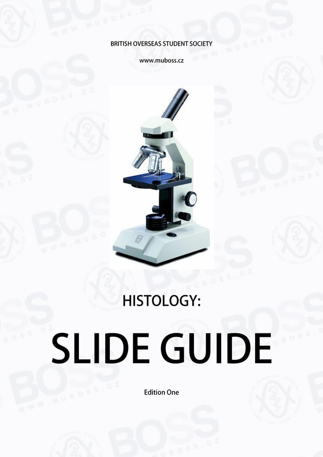 Histology study guide | PDF