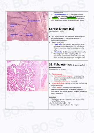 Histology study guide | PDF