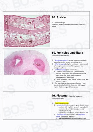 Histology study guide | PDF
