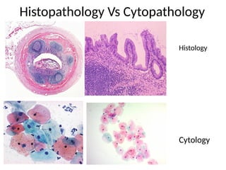 HISTOLOGY Vs CYTOLOGY. An introduction pptx | PPTX