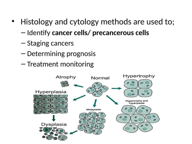 HISTOLOGY Vs CYTOLOGY. An introduction pptx | PPT