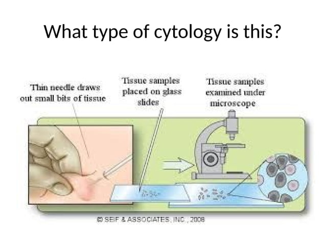 HISTOLOGY Vs CYTOLOGY. An introduction pptx | PPT
