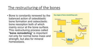 HISTOLOGY week 11.pptx
