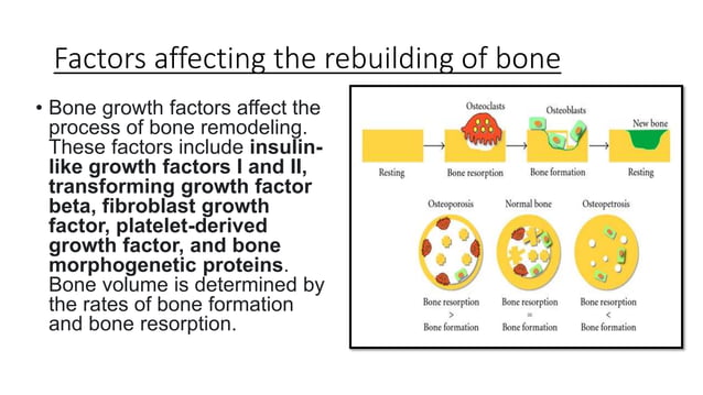 HISTOLOGY week 11.pptx