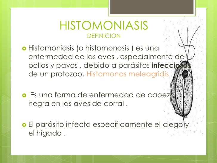 Histomoniasis