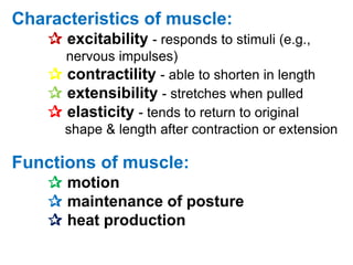histo muscular system (1).presentatin ptx | PPT