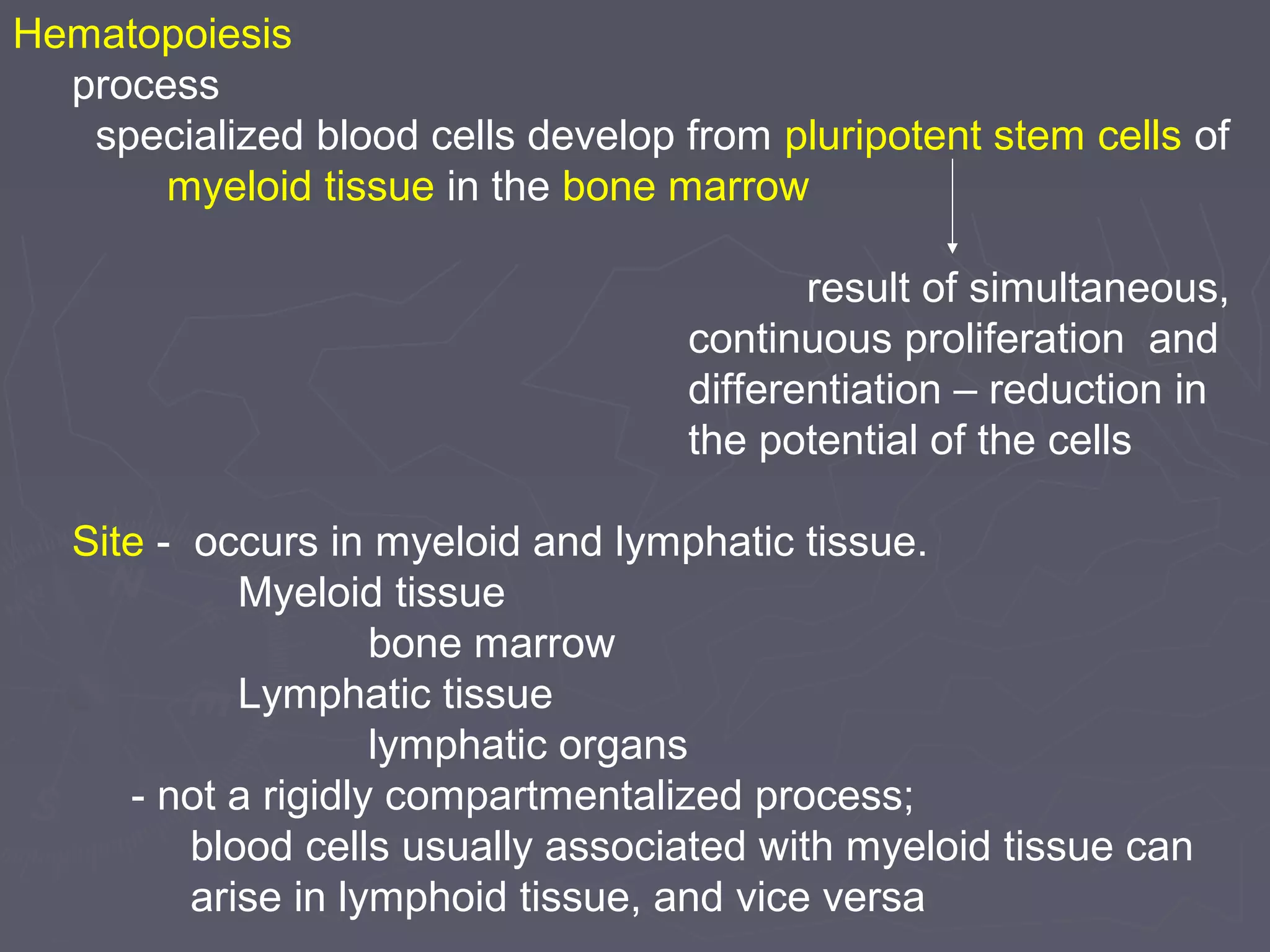 MYELOID TISSUE: MICROANATOMY | PPT
