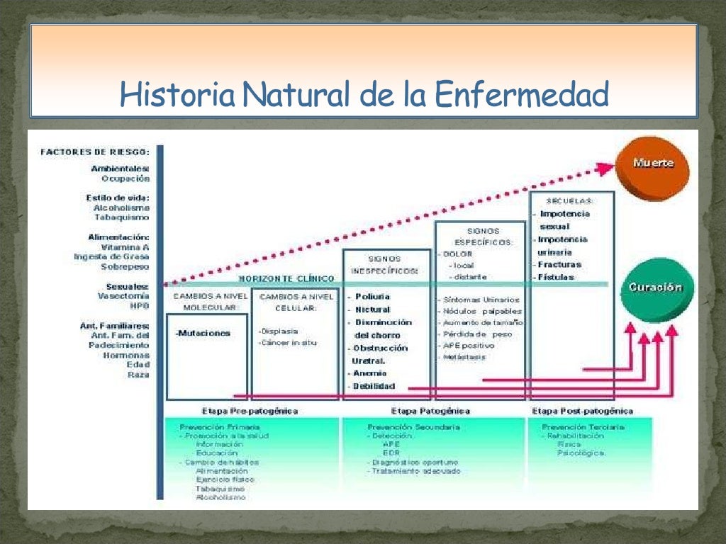 Historia Natural De La Enfermedad
