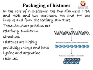 Histone Protiens | PPTX