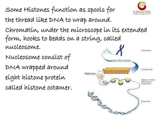 Histone Protiens | PPTX