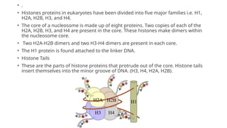 HISTONE ACETYLATION.pptx molecular biology | PPTX