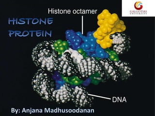 Histone core.pdf
