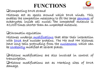 Histone core.pdf