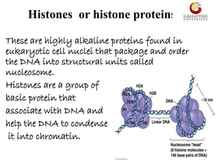 Histone core.pdf
