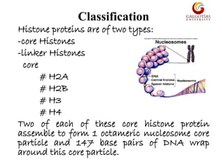 Histone core.pdf