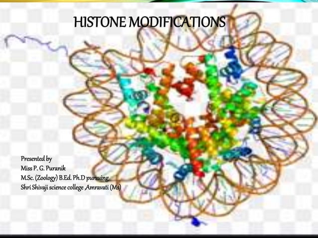 Histone modifications.ppt | Chemistry | Science