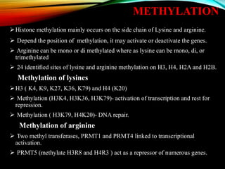 Histone modifications.ppt