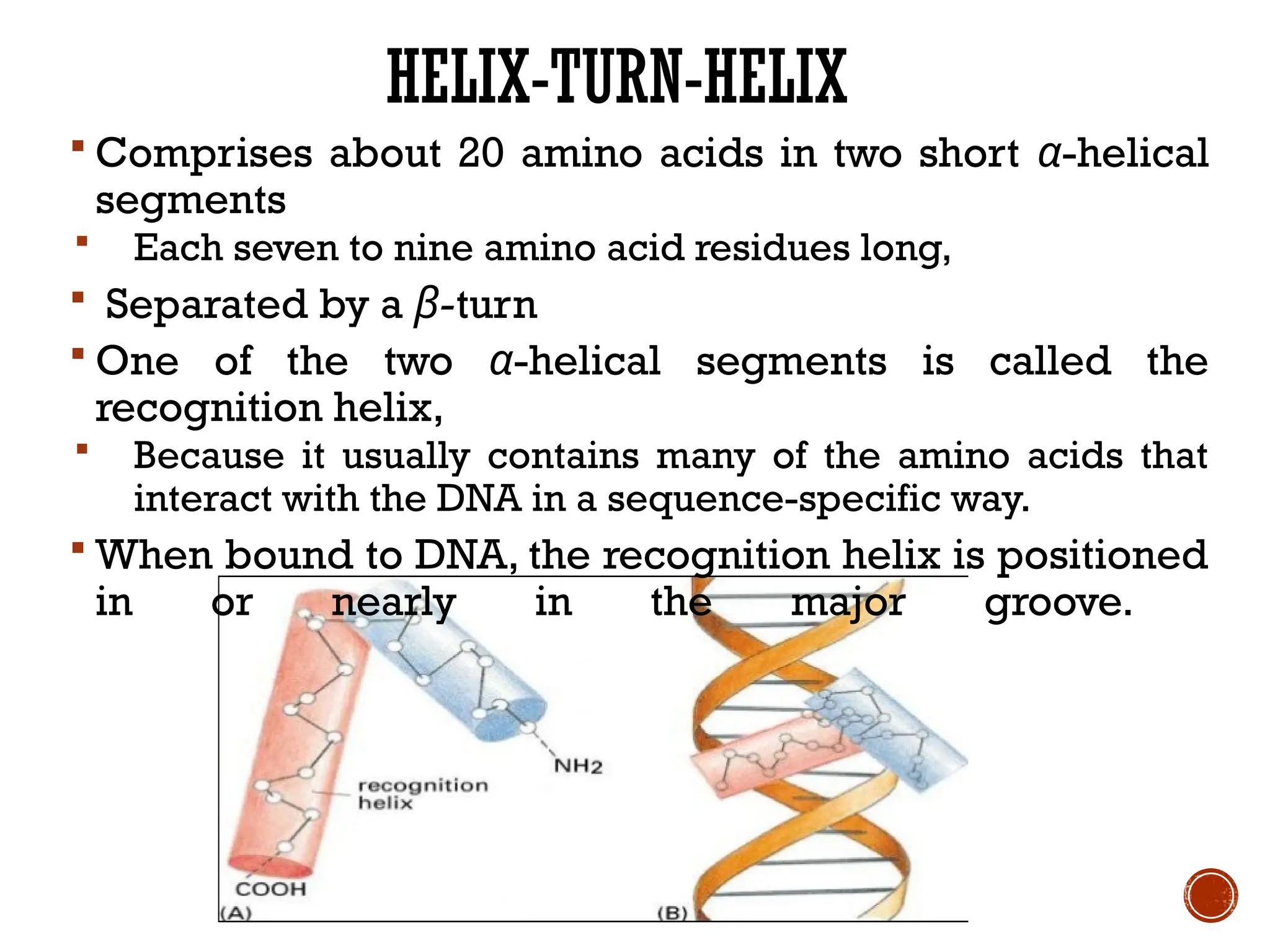 Histone Modification Pptx Pharmacology Presentation Pptx