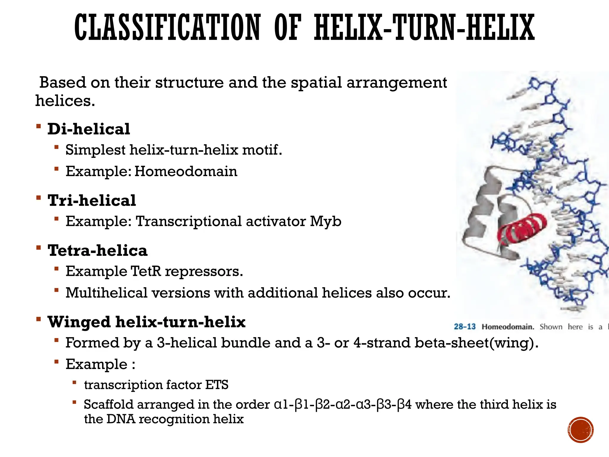 Histone Modification Pptx Pharmacology Presentation Pptx