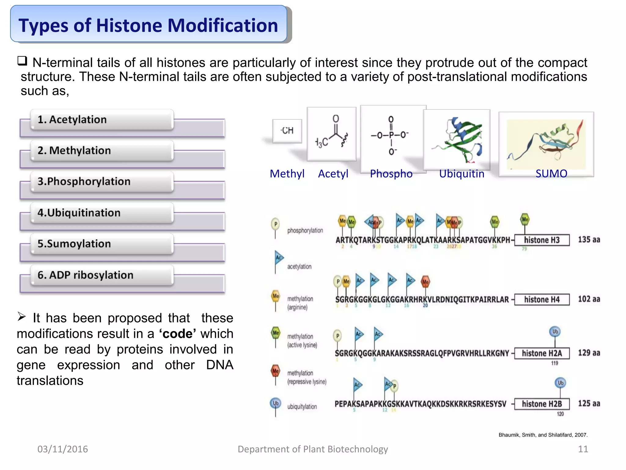 Histone modification in living cells | PPT