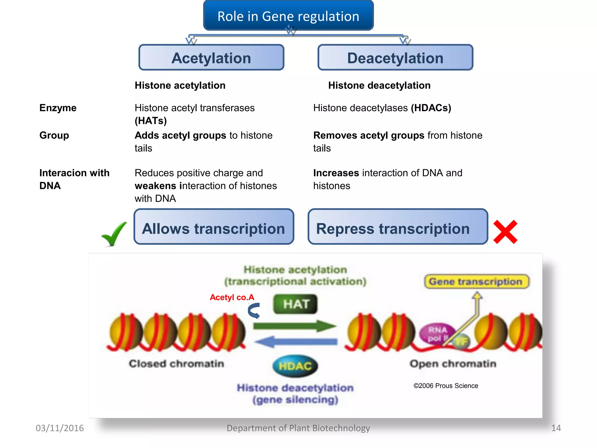 Histone modification in living cells | PPT