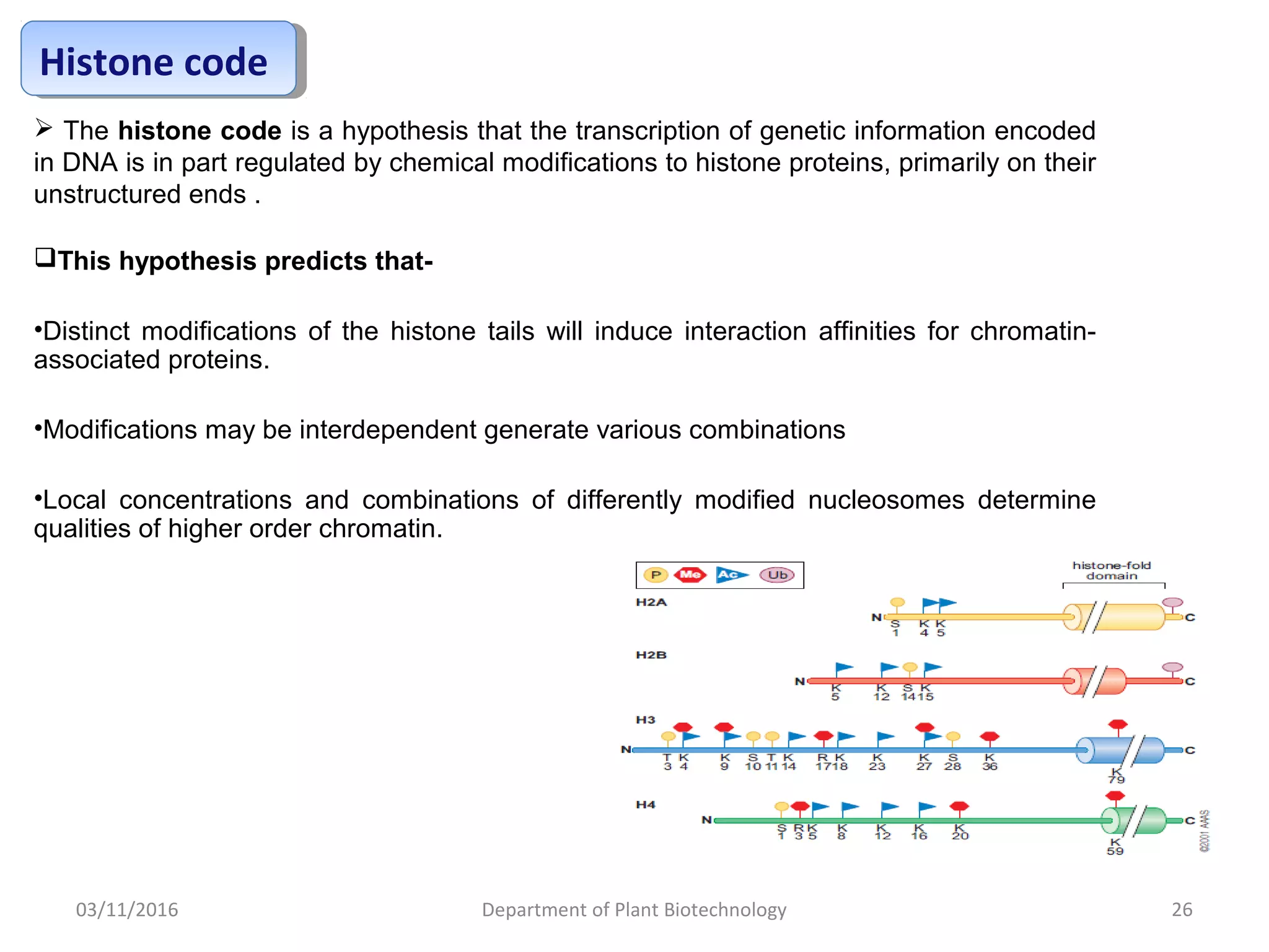 Histone modification in living cells | PPT