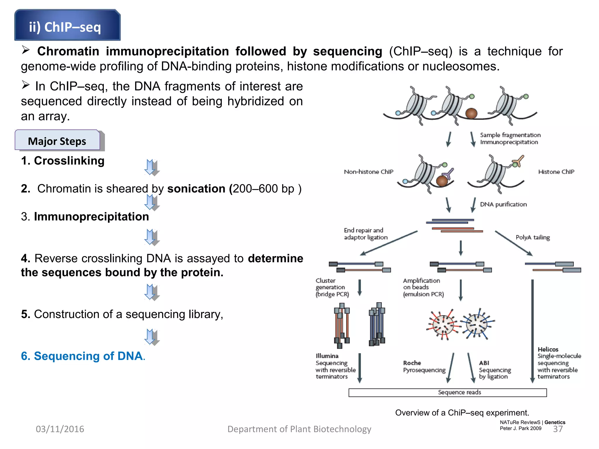 Histone modification in living cells | PPT