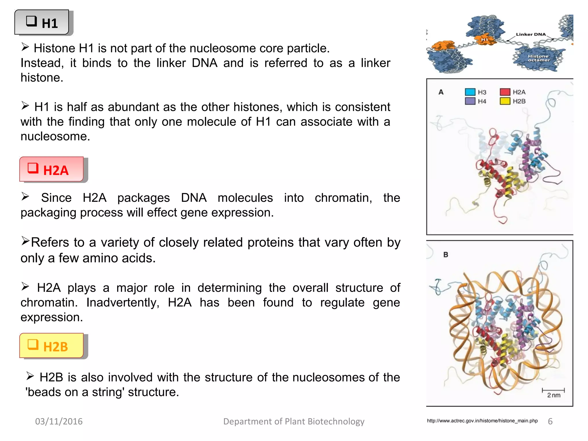 Histone modification in living cells | PPT