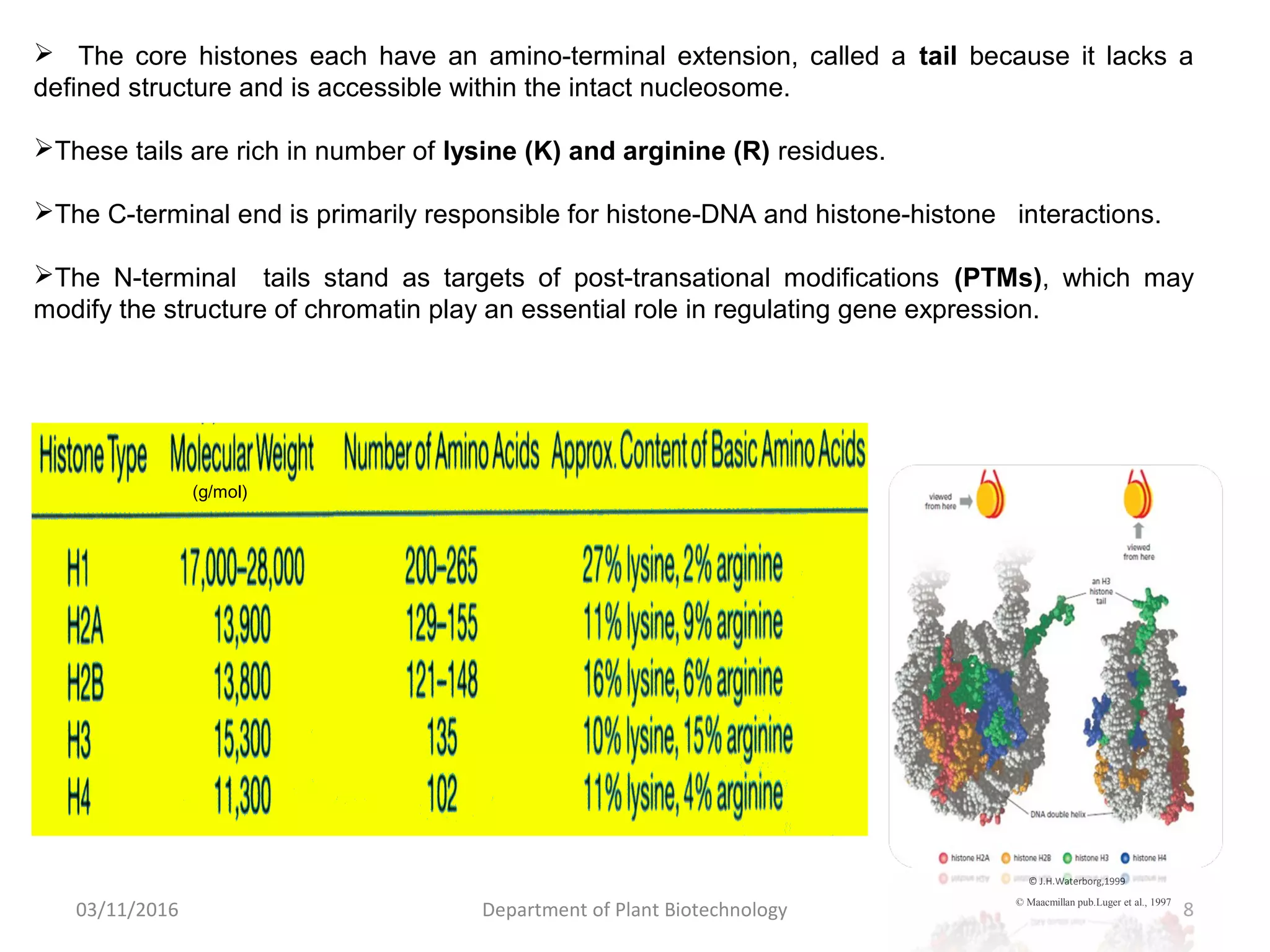 Histone modification in living cells | PPT