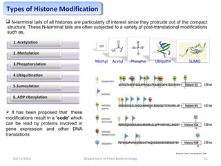 Histone Modification Table